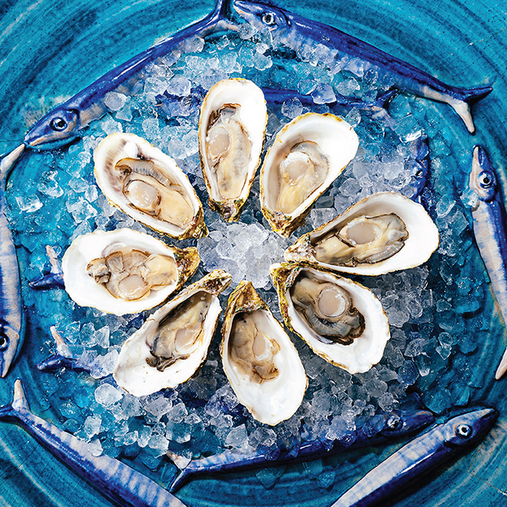 Alici Menu | Seafood The Italian Way